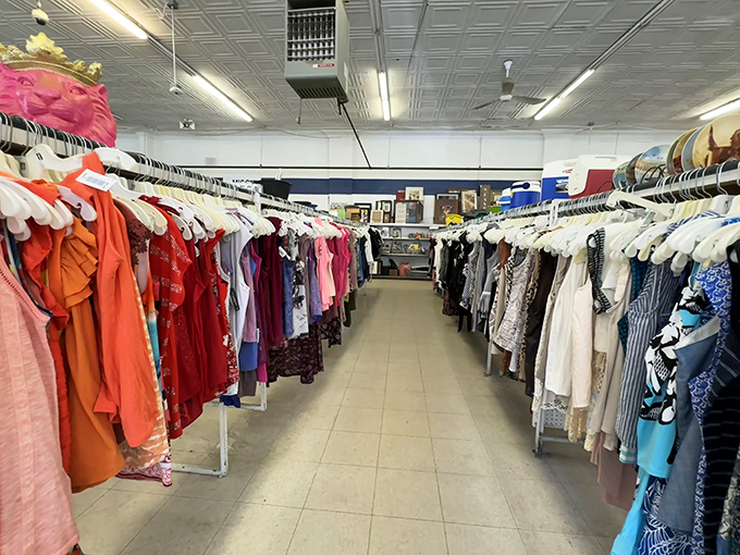 Women's clothing arranged with surprising precision, creating a kaleidoscope of fashion possibilities spanning decades of style evolution.