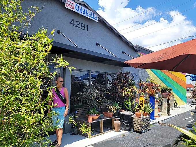 OddBalls lives up to its quirky name with colorful outdoor displays and plants that hint at eclectic treasures inside.