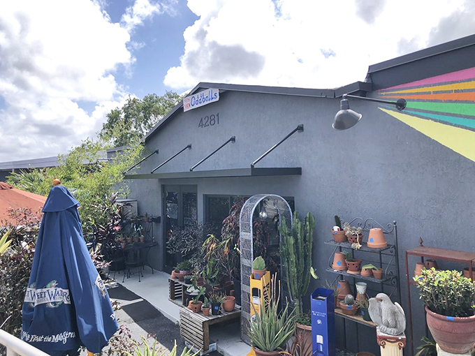 OddBalls lives up to its name with an entrance that's part store, part secret garden.