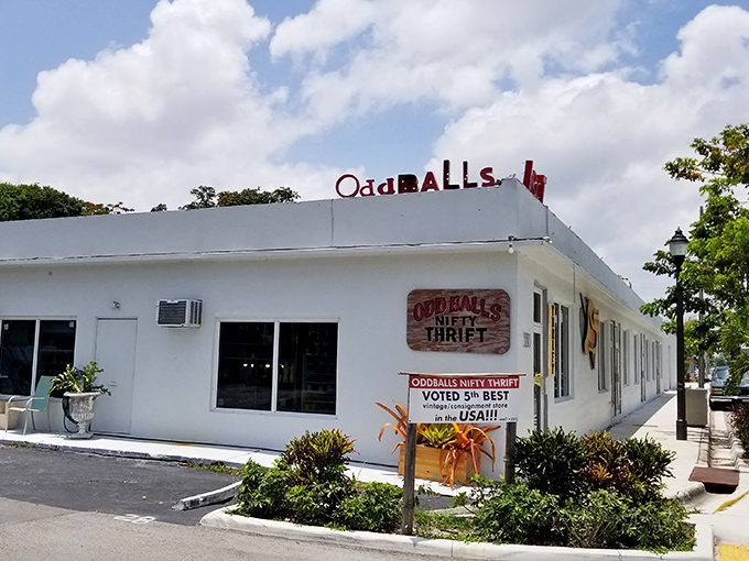 Where thrifting meets personality! OddBalls' distinctive character shines through even before you step inside.