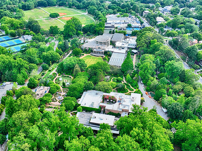 From above, the garden reveals itself as an emerald oasis nestled within Atlanta's urban tapestry.