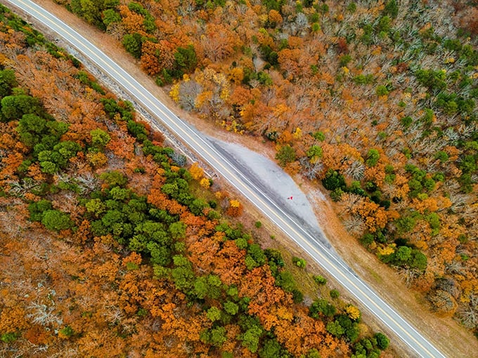 Nature's patchwork quilt from above. The byway cuts through autumn's finest wardrobe like a runway for your vehicle.