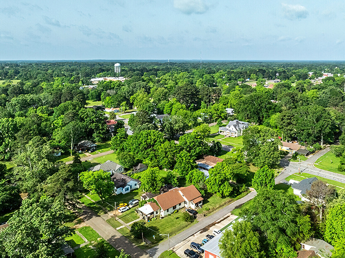 Hope spreads beneath tree cover that makes you wonder why everyone moved to concrete jungles when this kind of green living exists.