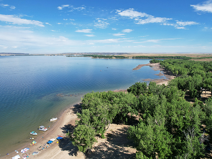 Bird's eye bliss: where forest meets shoreline meets crystal waters. If postcards could capture feelings, this would be contentment.