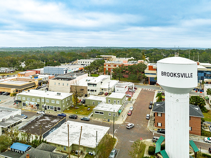 An aerial view reveals Brooksville's secret &ndash; affordable living with small-town charm spread across Florida's surprisingly hilly terrain.