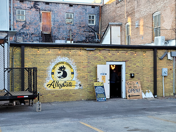 Axe throwing venues prove retirement doesn't mean surrendering all activities requiring coordination, competition, and controlled danger seeking.