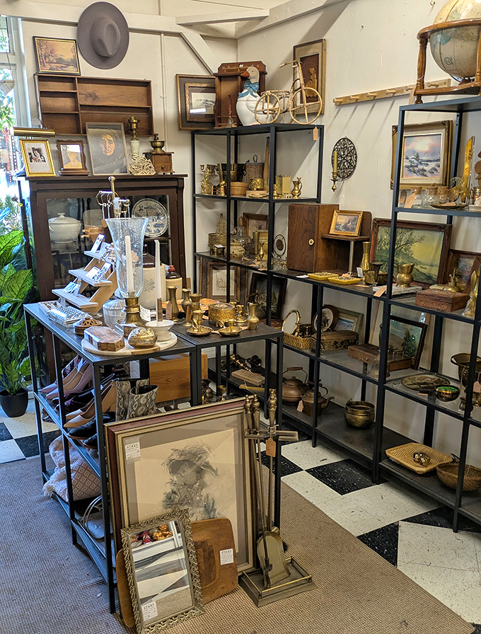 A gallery of golden-toned treasures where time stands still. That gray fedora on the top shelf is waiting for its Indiana Jones moment.