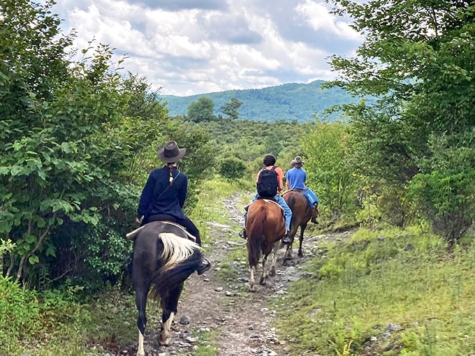 Giddy up and slow down! Horseback riding through Troutdale's verdant trails offers a pace of exploration that perfectly matches the town's unhurried philosophy.
