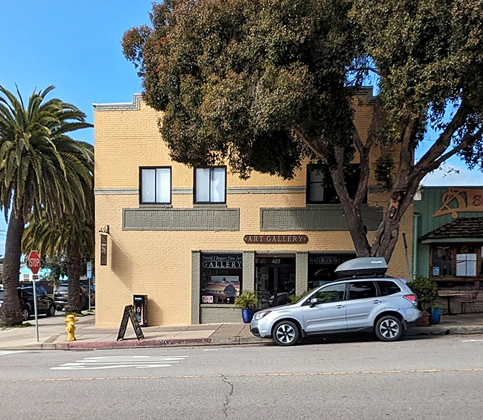 Local art galleries showcase creative interpretations of coastal life, housed in historic buildings that tell stories of the town's evolution.