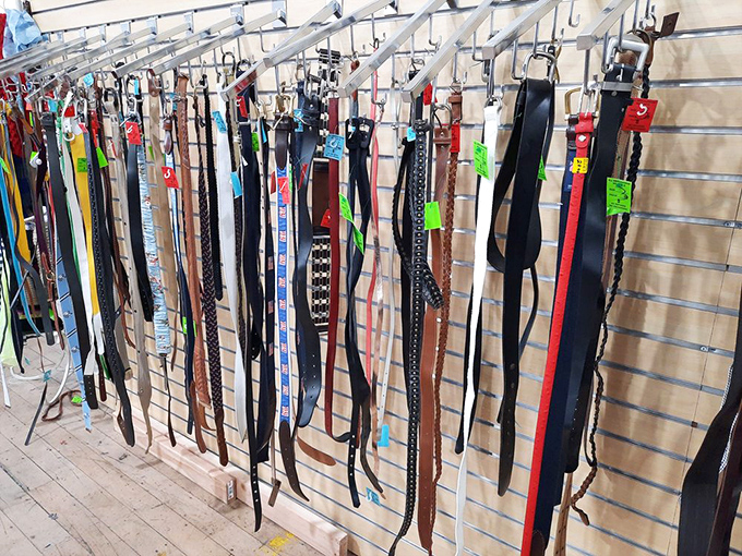 Belt selection that could outfit an entire Western movie cast, with options for every waist and taste.