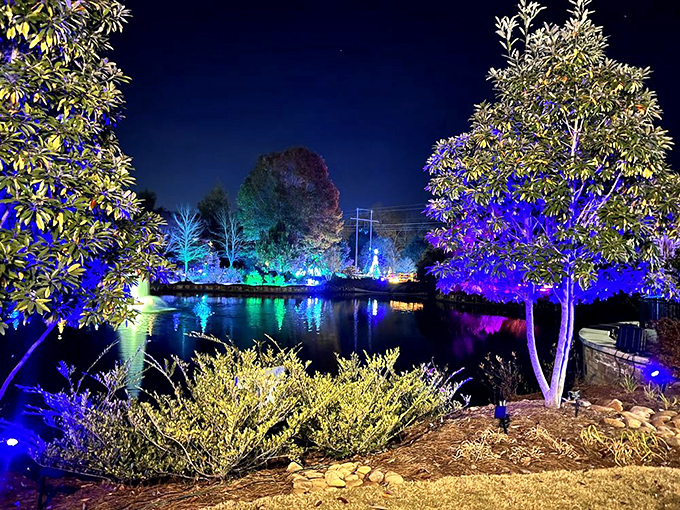 The garden's nighttime illumination turns ordinary landscapes into extraordinary dreamscapes. Even the fish are probably wondering if they've somehow swum into an enchanted realm.