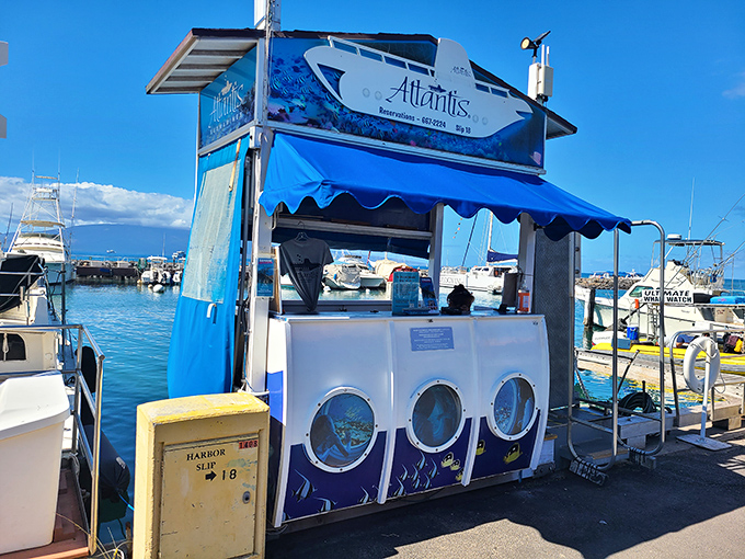 Atlantis Submarine's harbor kiosk promises underwater adventures without getting wet. The ocean's mysteries await just beyond the dock.