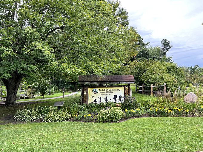 The Audubon Nature Center invites families to explore, where childhood wonder meets the great outdoors.