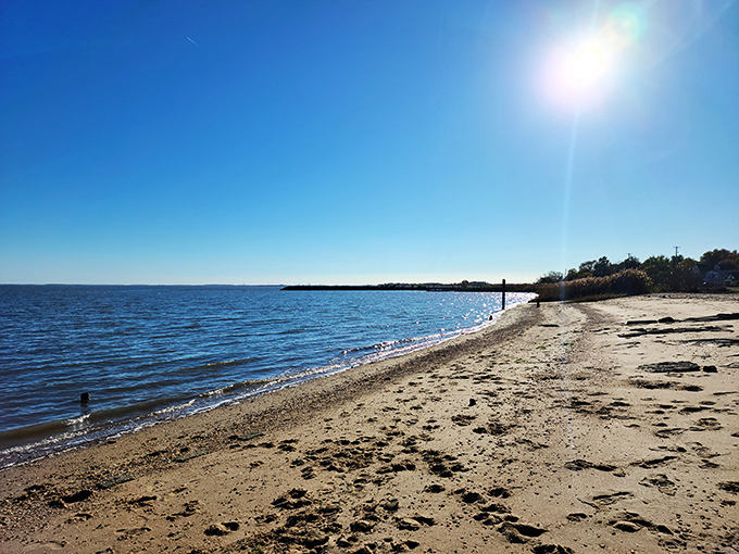 Augustine Beach proves Delaware's coastline doesn't need flashy boardwalks to deliver peaceful shoreline strolls. The perfect spot to contemplate how you scored affordable waterfront access.