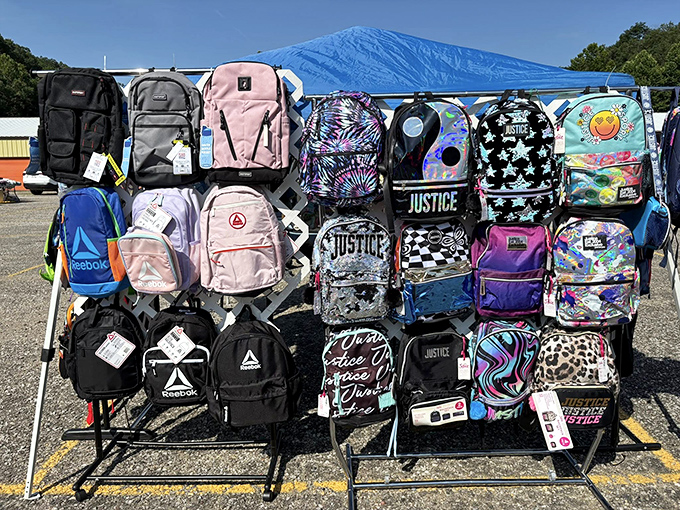Back-to-school shopping that won't break the bank! These backpacks range from practical black to "look-at-me" sparkles—personality carriers for every student.