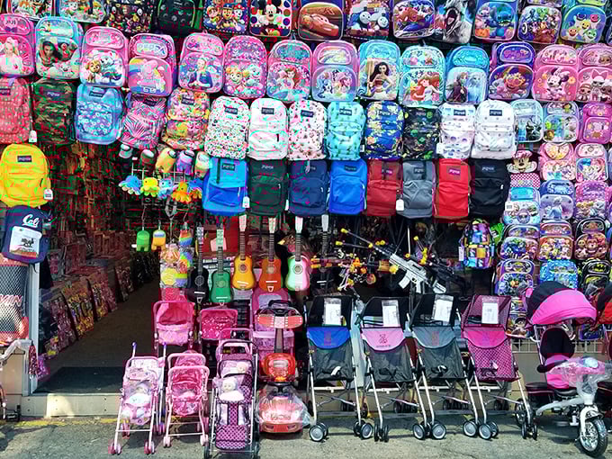 Back-to-school paradise for parents on a budget. These colorful backpacks and strollers prove growing families don't have to break the bank.