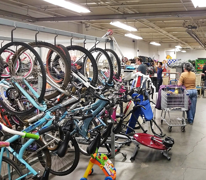 A bicycle battalion stands at attention, ready for new adventures. From kids' first rides to adult cruisers, these wheels are just waiting to hit the road again. 
