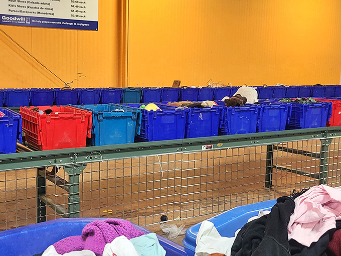 A rainbow of bins awaiting the next rotation. Veterans know the best strategy is patience—fresh treasures arrive hourly.