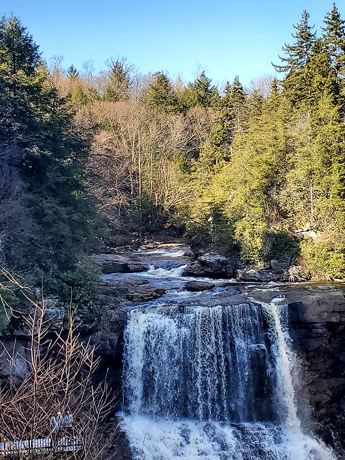 Blackwater Falls doing what it does best: cascading dramatically while tourists fumble with their camera settings below.