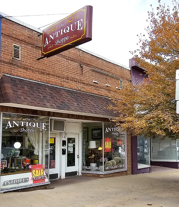 Antique shops overflow with yesterday's treasures waiting to become tomorrow's cherished finds at surprisingly reasonable prices.