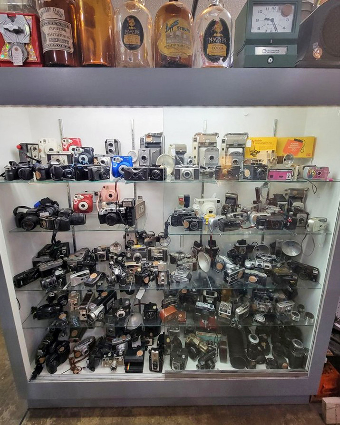 Cameras that captured decades of memories line these shelves, each one a time machine waiting for its next adventure.