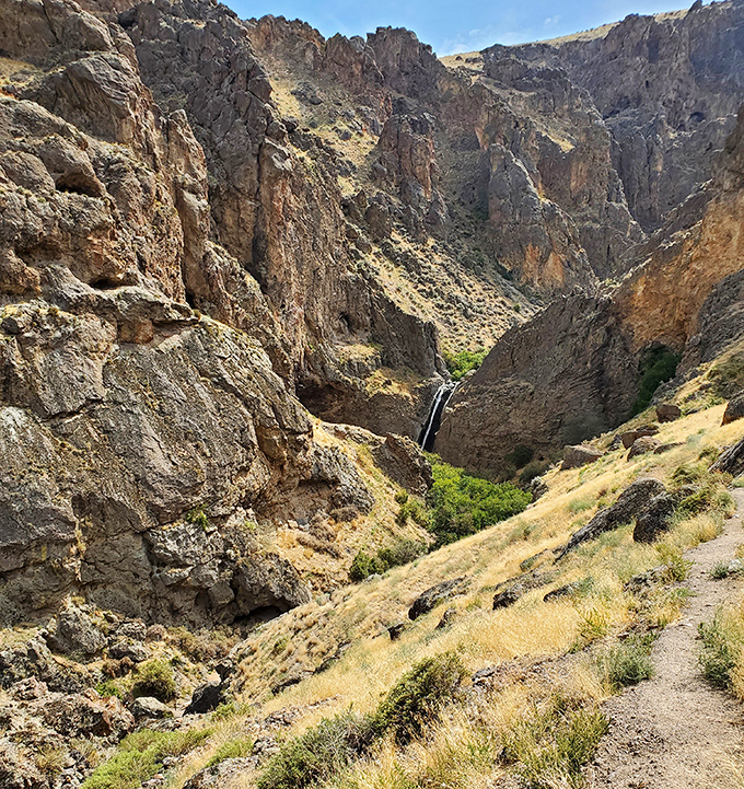 Nature's perfect contrast &ndash; golden grasses of the high desert give way to the verdant oasis hiding in the canyon below.
