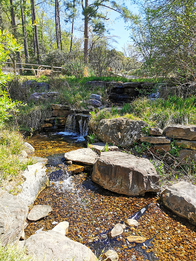 Water music at its finest—this cascading stream creates a soundtrack that expensive meditation apps try desperately to replicate.