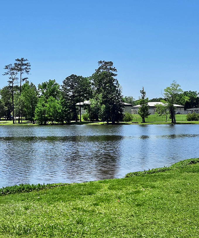 Cherokee Lake's serene waters and pine-lined shores offer a tranquil escape that feels miles from civilization, despite being just minutes from downtown.