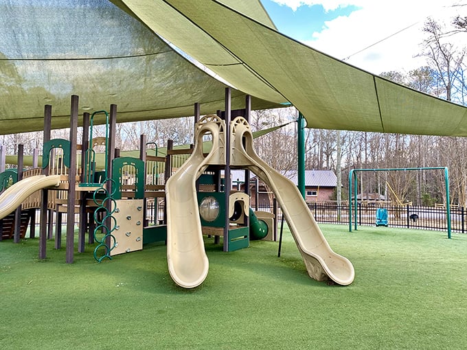 The playground at Seavy Street Park proves that Senoia caters to all ages—slides and swings under shade sails where childhood laughter creates the town's sweetest soundtrack.