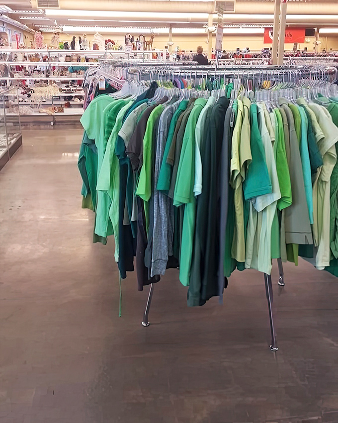 The color-coordinated clothing racks satisfy both your budget constraints and your inner organizational guru in one satisfying shopping experience.