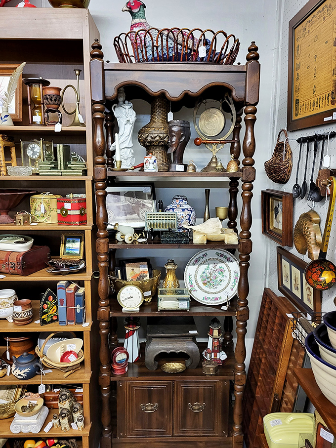 Wooden shelves displaying curated collections of yesterday. Each item has survived trends, moves, and spring cleanings to arrive here.