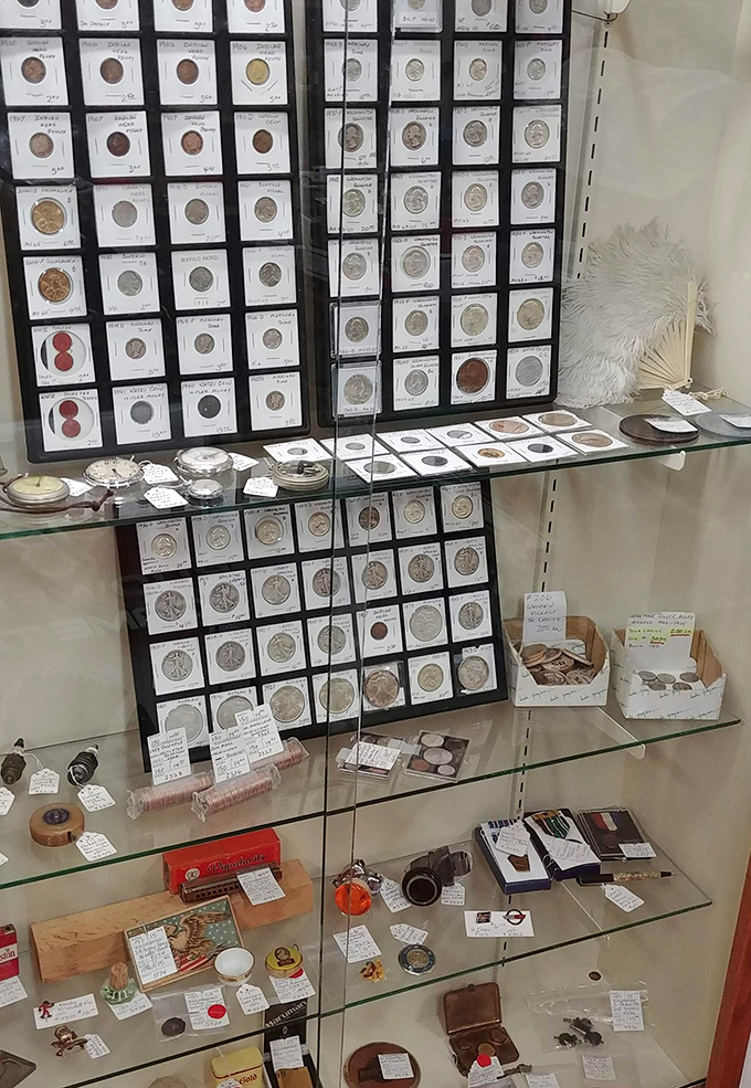 Numismatist heaven! Each coin in these cases represents both currency and history – Lincoln pennies and Mercury dimes that passed through countless hands.