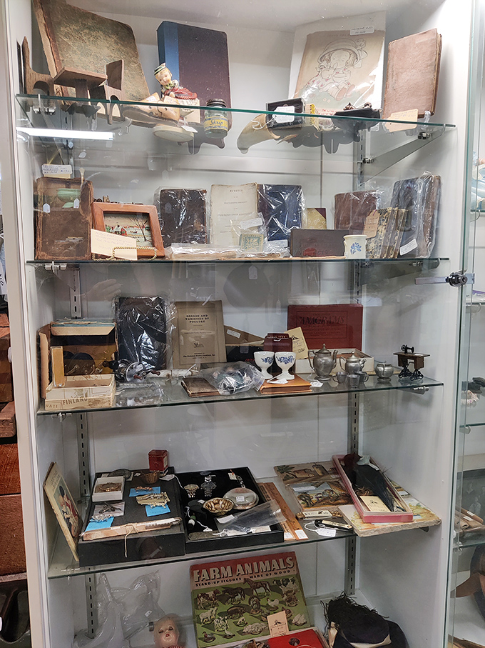 Behind glass but not forgotten&mdash;these aren't just collectibles; they're childhood memories, historical footnotes, and conversation starters all in one display.