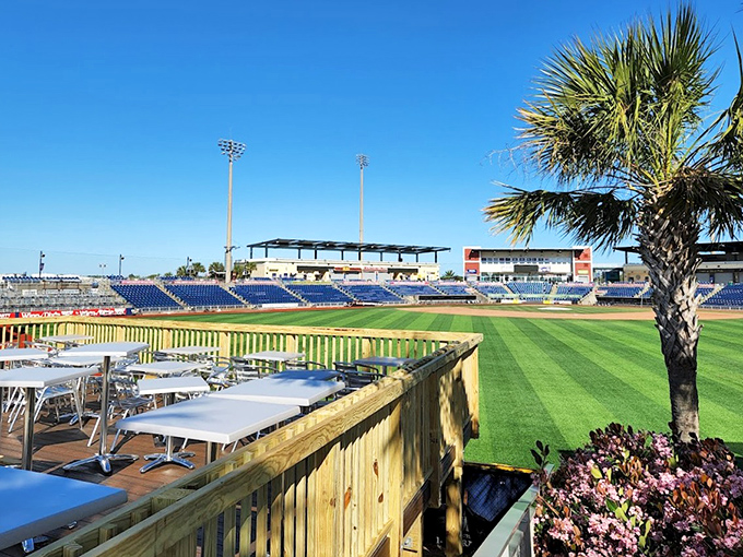 Blue Wahoos Stadium combines America's pastime with waterfront views, creating the perfect excuse to enjoy a hot dog while calling it "experiencing local culture."