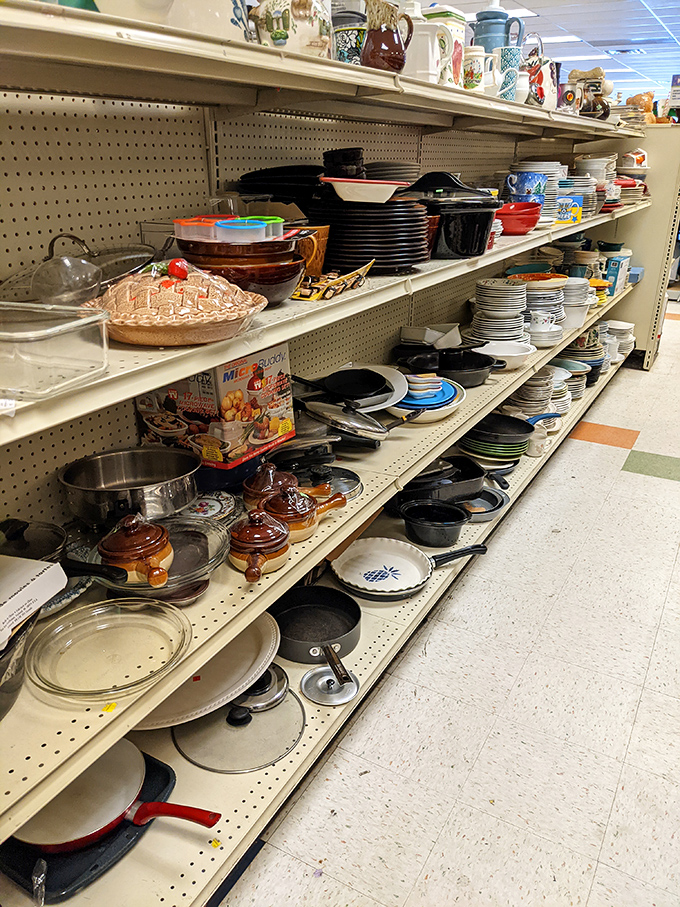 Cast iron skillets, ceramic baking dishes, and enough pots to outfit a small restaurant. Kitchen treasures that have already proven their durability and are ready for decades more service.