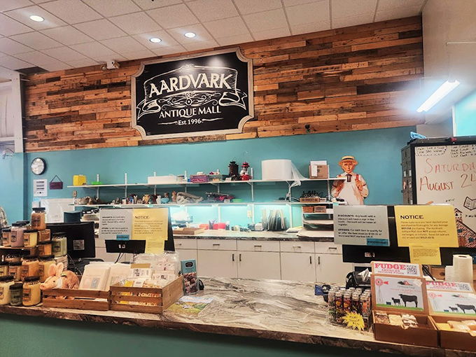 The counter features a charming setup with products on display, adding to the shop&rsquo;s inviting atmosphere.