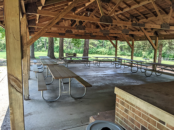 This covered pavilion has witnessed countless family reunions, birthday celebrations, and the timeless tradition of arguing over who brought the potato salad.