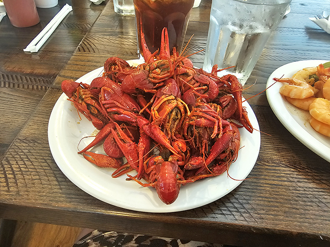 A plate of crawfish that demands both appetite and technique. These little red creatures are Arkansas's answer to lobster.