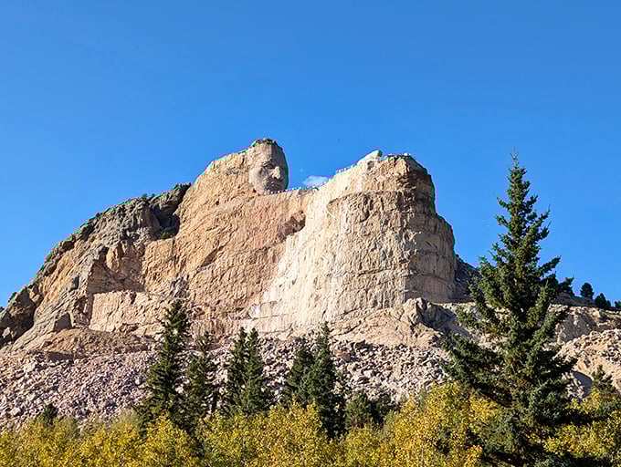 Crazy Horse Memorial emerging from the mountain in the distance reminds you that monumental dreams require patience, vision, and serious commitment to completion. 