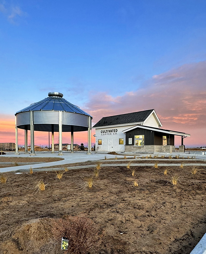 Cultivated Coffee Company brings artisanal coffee culture to rural Colorado, its grain silo neighbor a reminder of the agricultural heritage that grounds it.
