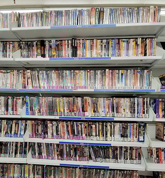 The DVD section&mdash;a physical Netflix of options where $3 buys you movie night without subscription fees or spotty internet.