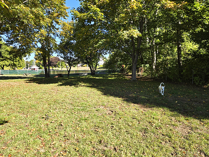 Even the dogs have it good in Millinocket. This simple park offers four-legged friends room to roam while their humans soak in the peaceful surroundings.