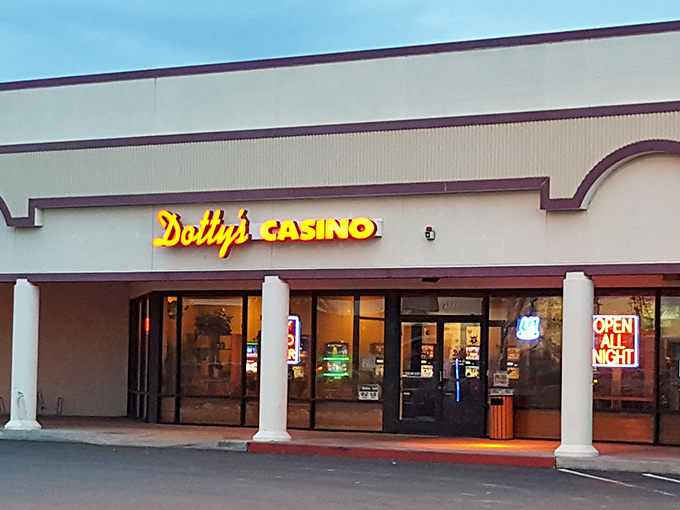 Dotty's Casino offers neighborhood-friendly gaming where the staff might actually remember your name instead of just your losses.