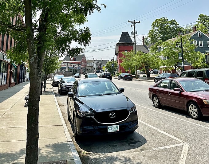 Tree-lined streets invite exploration where downtown means actual stores with actual people rather than fulfillment centers staffed by robots exclusively.