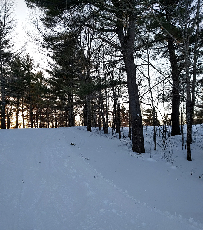 Winter transforms Skowhegan's trails into a snow-covered wonderland where cross-country skiing becomes the town's unofficial rush hour.