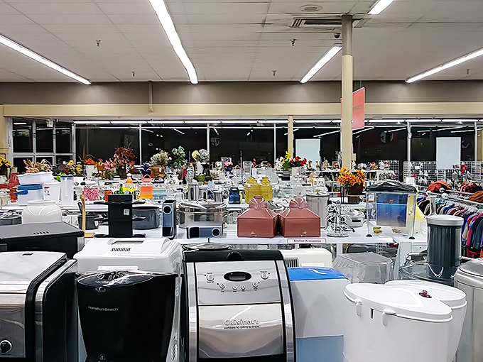 The appliance graveyard that's really a rebirth center. Yesterday's kitchen castoffs become today's dorm room essentials in this electronic wonderland.