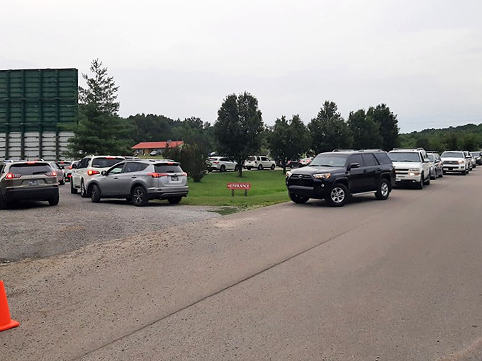Cars line up with the patience of moviegoers who understand that good things&mdash;like perfect parking spots and summer nights&mdash;are worth waiting for.