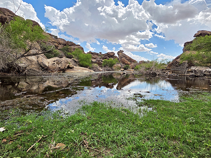 Spring brings ephemeral pools that transform the desert landscape. This temporary oasis creates a mirror world where sky meets earth in perfect harmony.