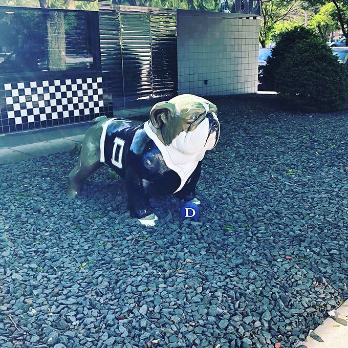 The Drake Bulldog stands guard outside, wearing university colors and the satisfied expression of someone who just had the meatloaf special.