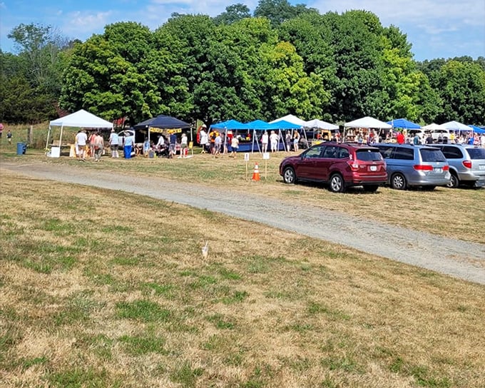 Lincoln's farmers markets transform parking lots into community gathering spots where the freshest produce comes with friendly conversation.